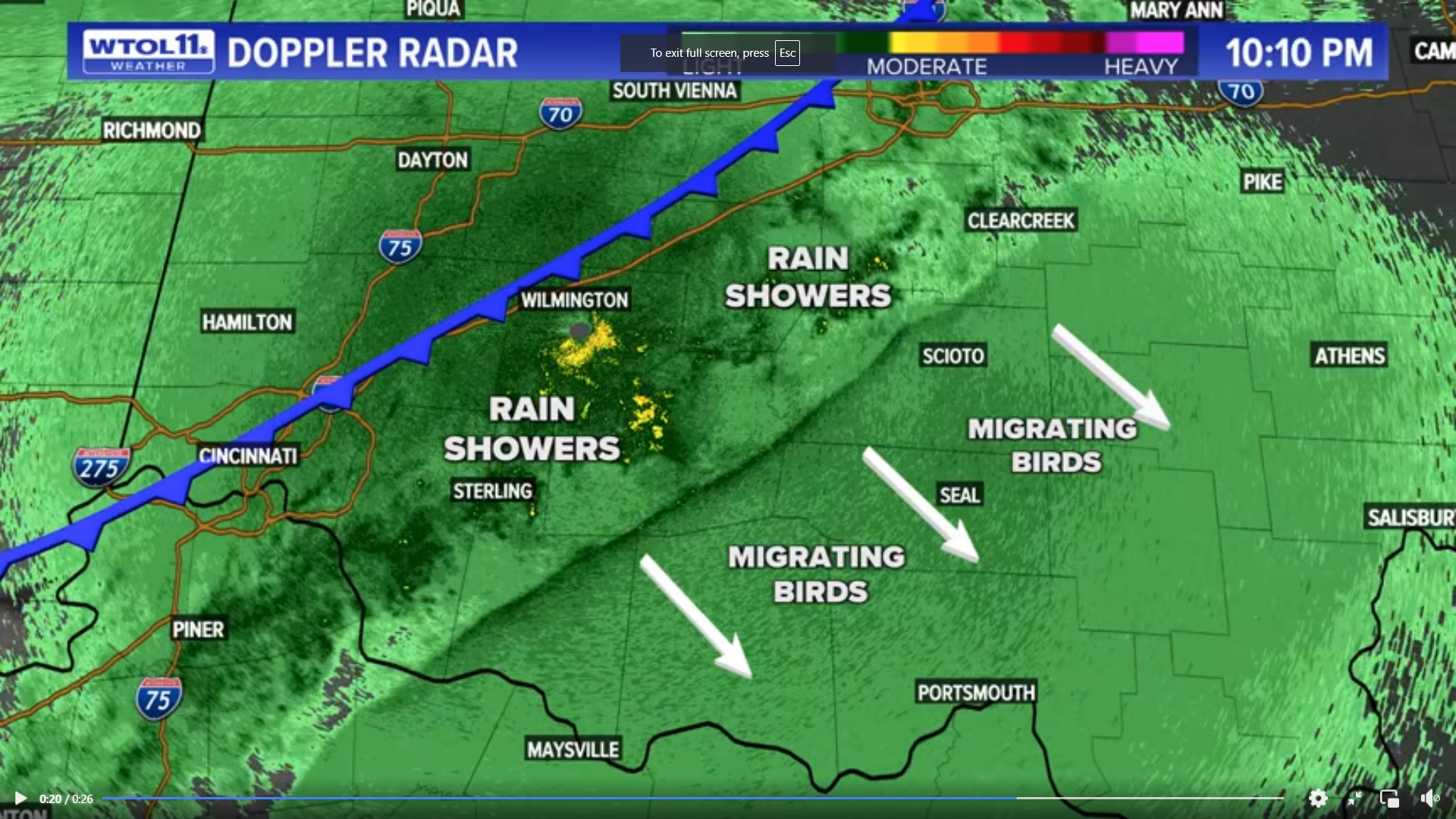 Bird Radar – Stephen Bodio